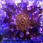 Sparkreations – Expressive artworks in paper – Glass Light Boxes